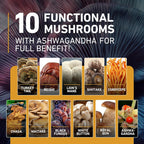 nutriyum mushroom gummies with natural ingredients