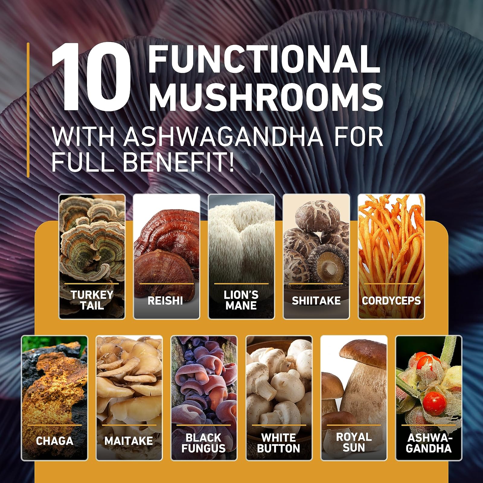 nutriyum mushroom gummies with natural ingredients