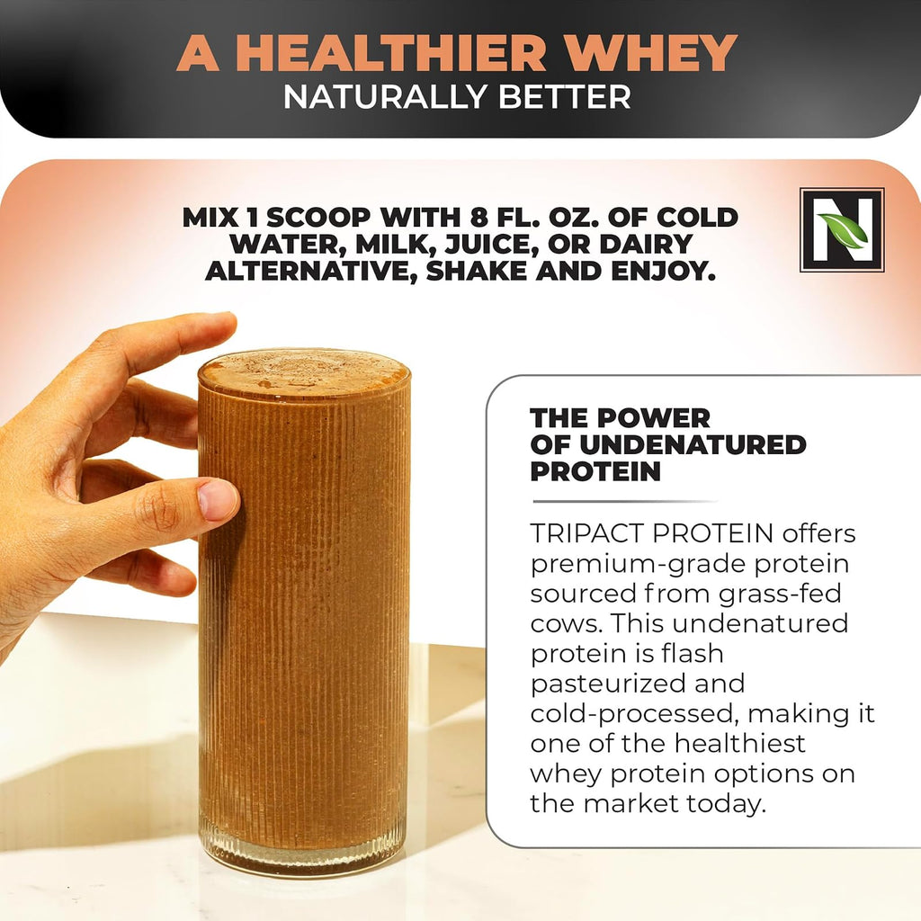 Nutrology protein for muscle recovery