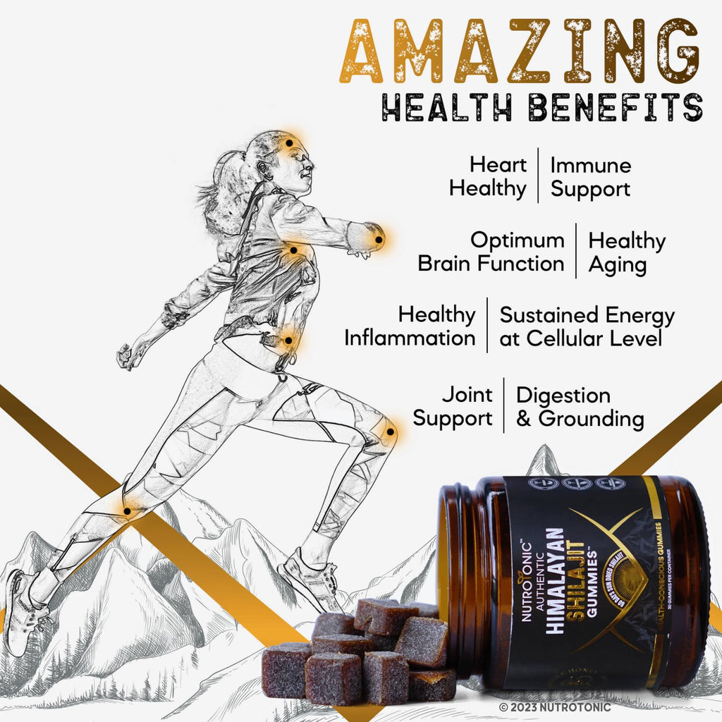NutroTonic herbal shilajit supplement