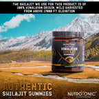 NutroTonic shilajit for daily nutrition