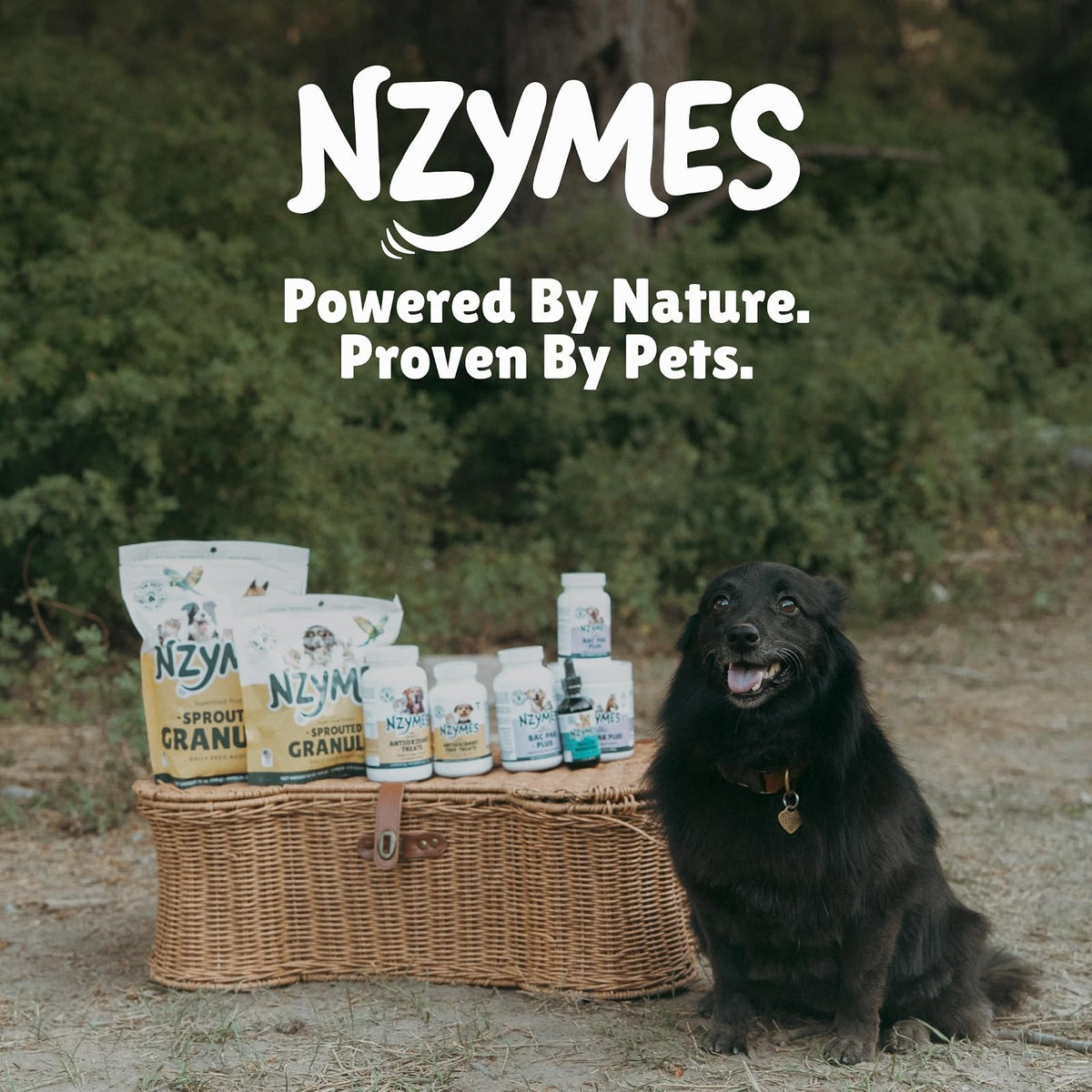 Nzymes Tracite drops for balanced nutrition