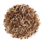 oak bark herbal tea benefits