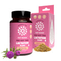 OAT MAMA herbal lactation support