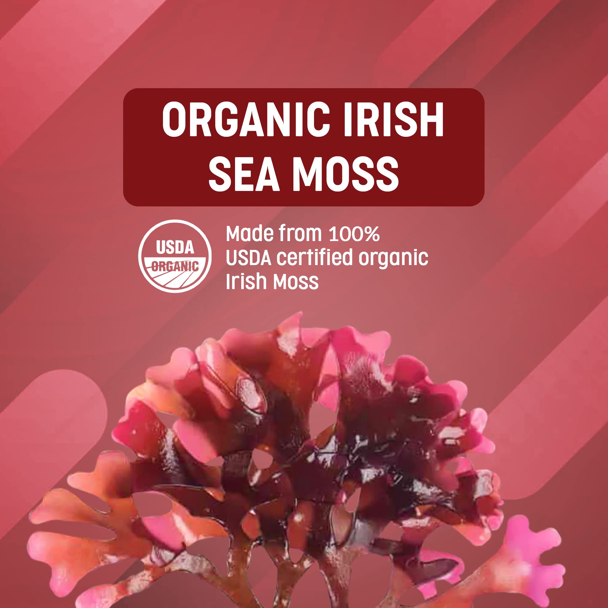 ocean optima sea moss benefits