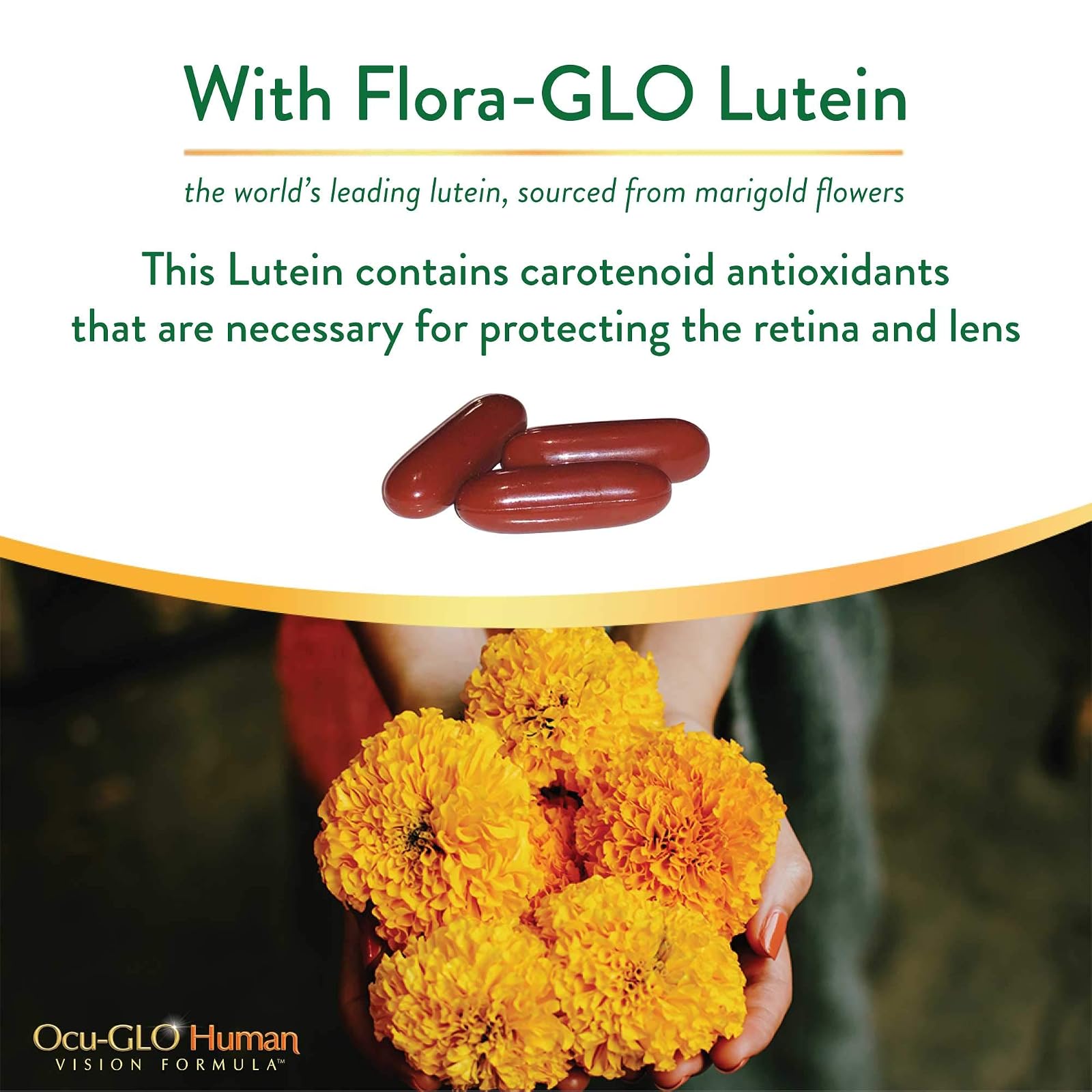 Ocu-GLO supplements for eye wellness