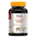 odorless aged garlic extract benefits