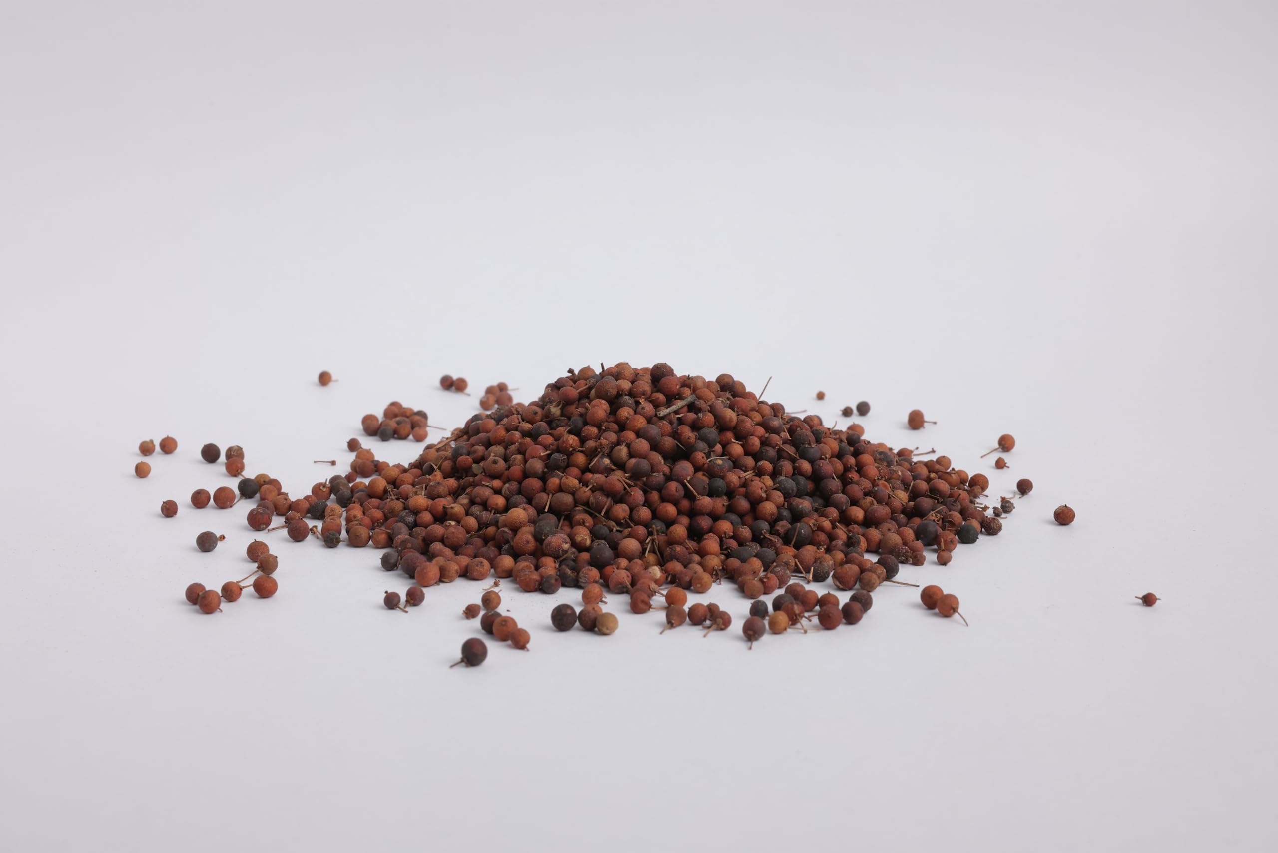 OGOC Embelia Ribs vitamins and minerals
