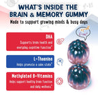 OH MY CHEWY Kids Vitamins for Brain Health