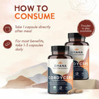 Ohana mushroom blend for athletic performance