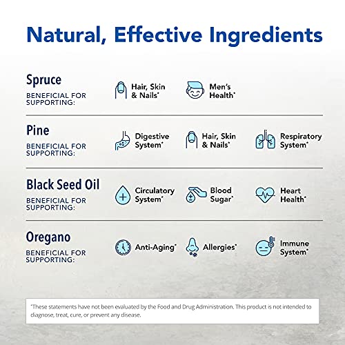 oil of oregano for digestive health