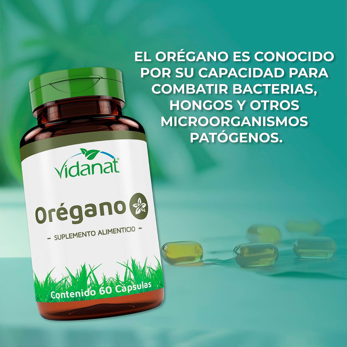 oil of oregano for digestive health
