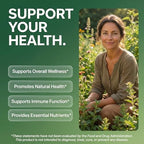 oil of oregano for digestive health