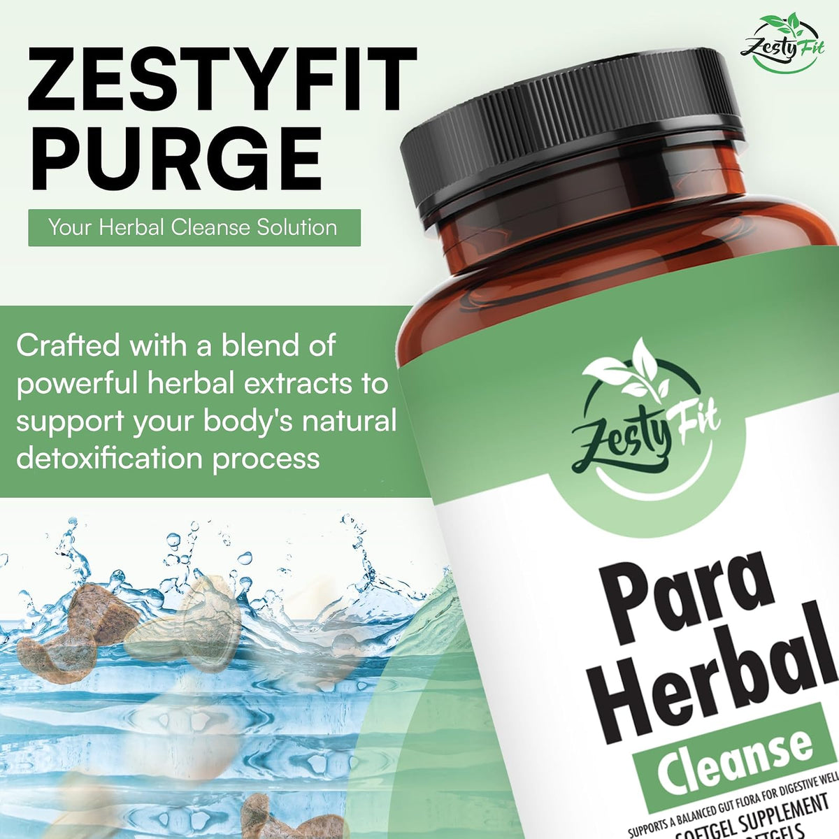 oil of oregano for digestive health