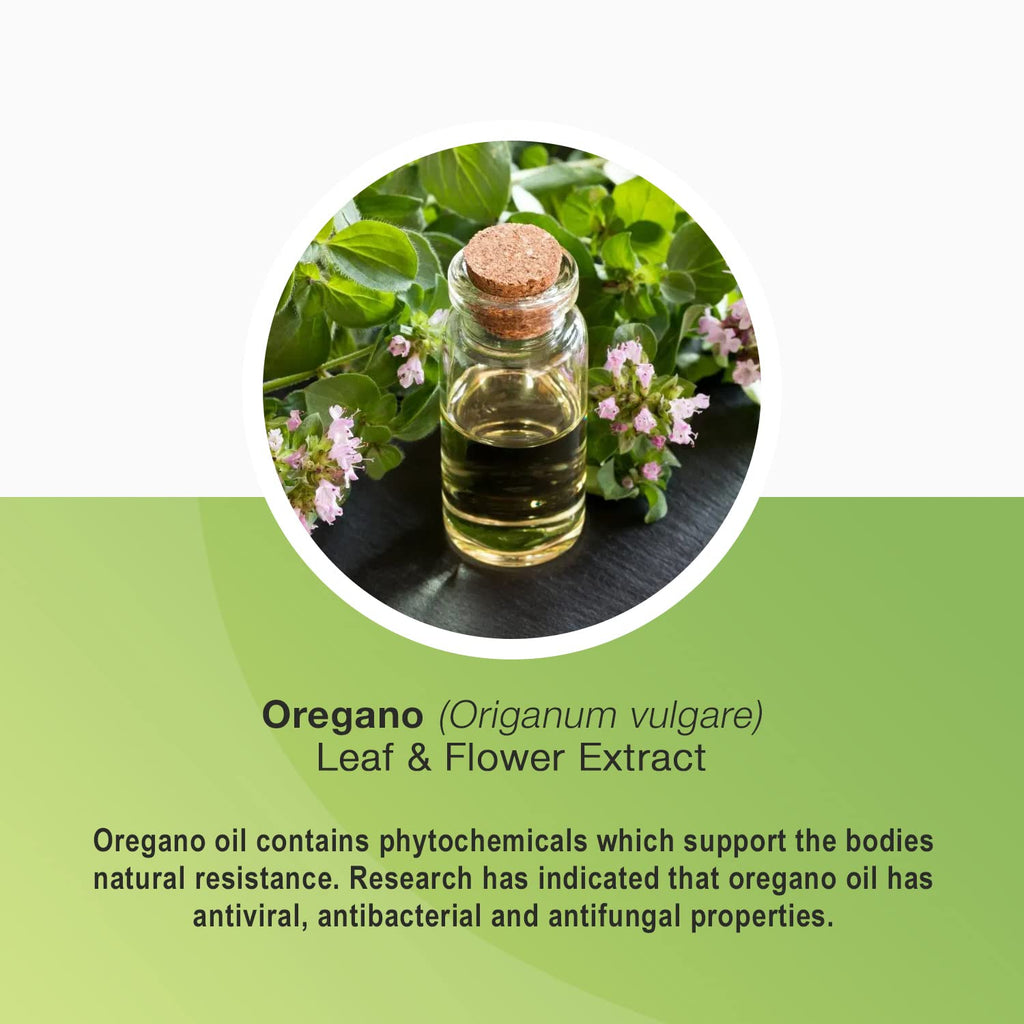 Oil of oregano for digestive health