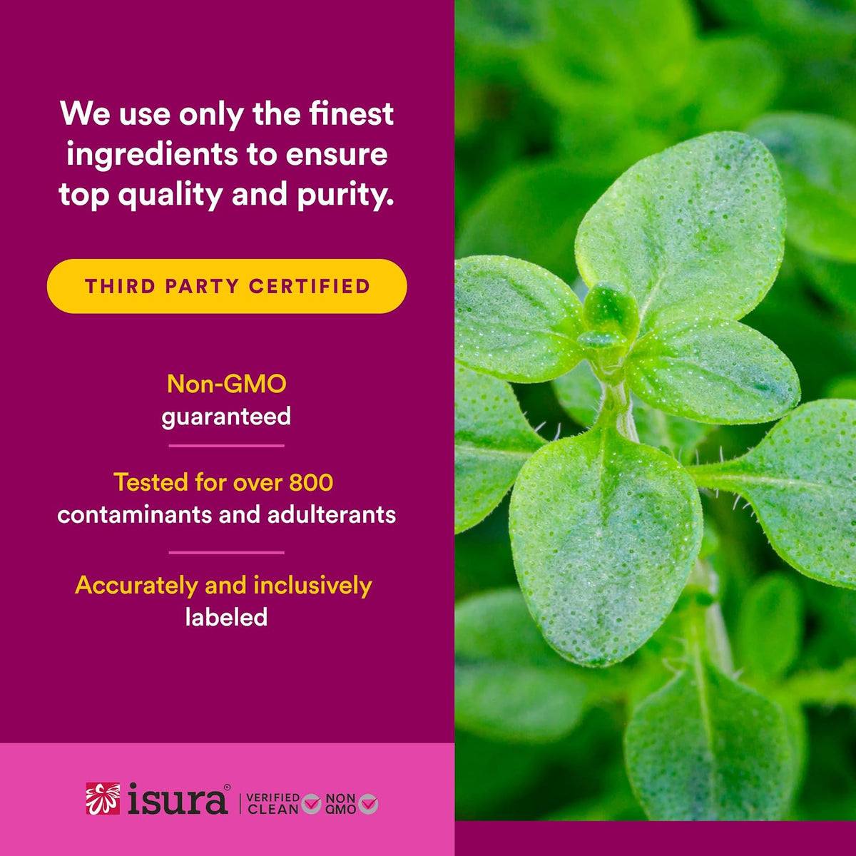 oil of oregano for digestive health