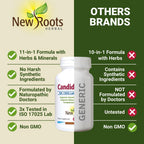 oil of oregano for digestive wellness
