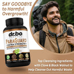 oil of oregano for gut health