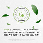 oil of oregano for holistic health