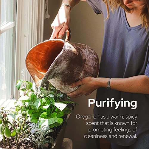 oil of oregano for natural remedies