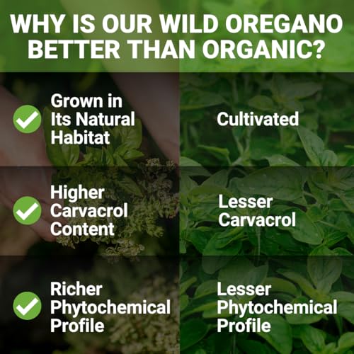 oil of oregano for parasite cleansing