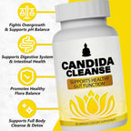 oil of oregano immune booster