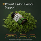 Oil of oregano immune support