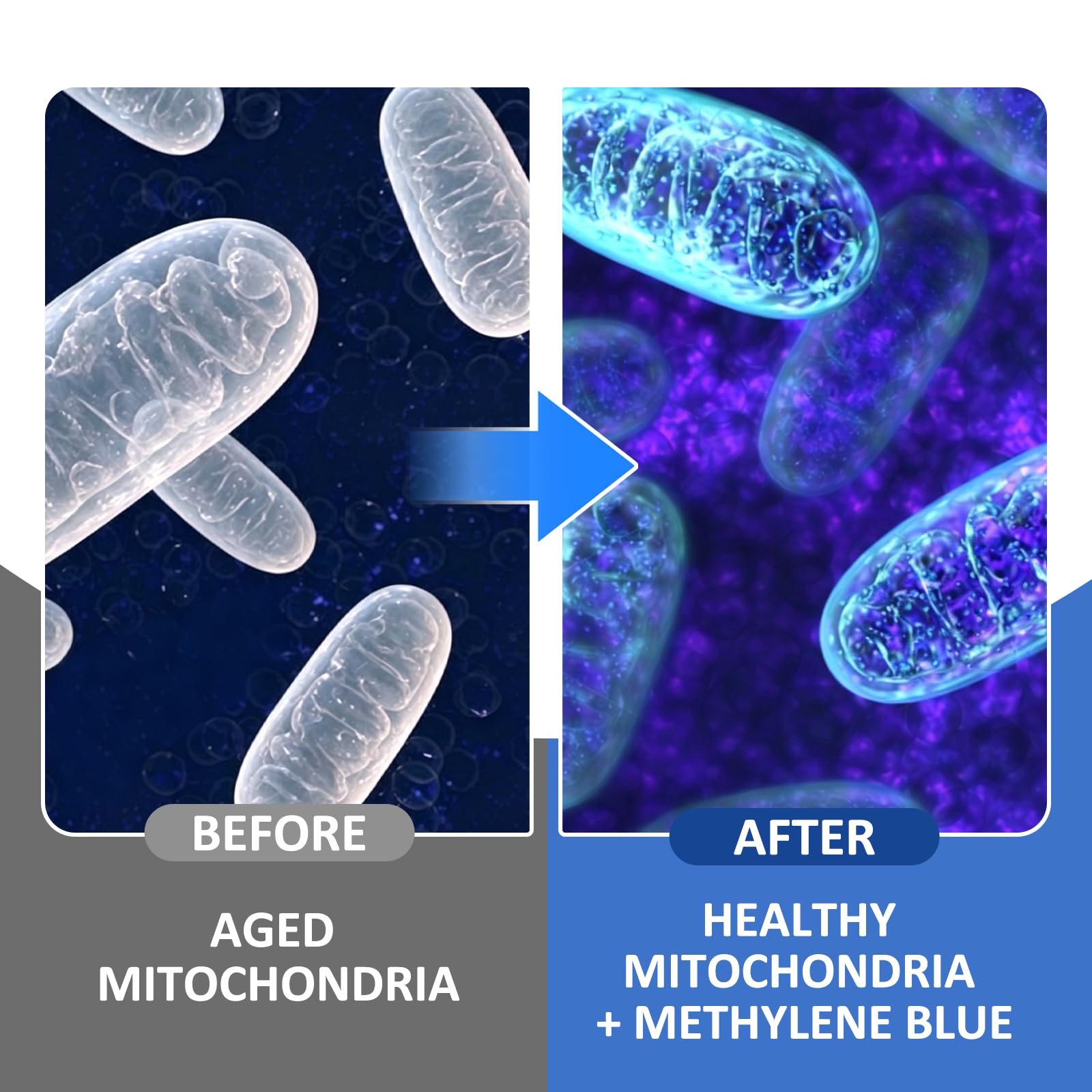 OLELON gummies with Methylene Blue benefits