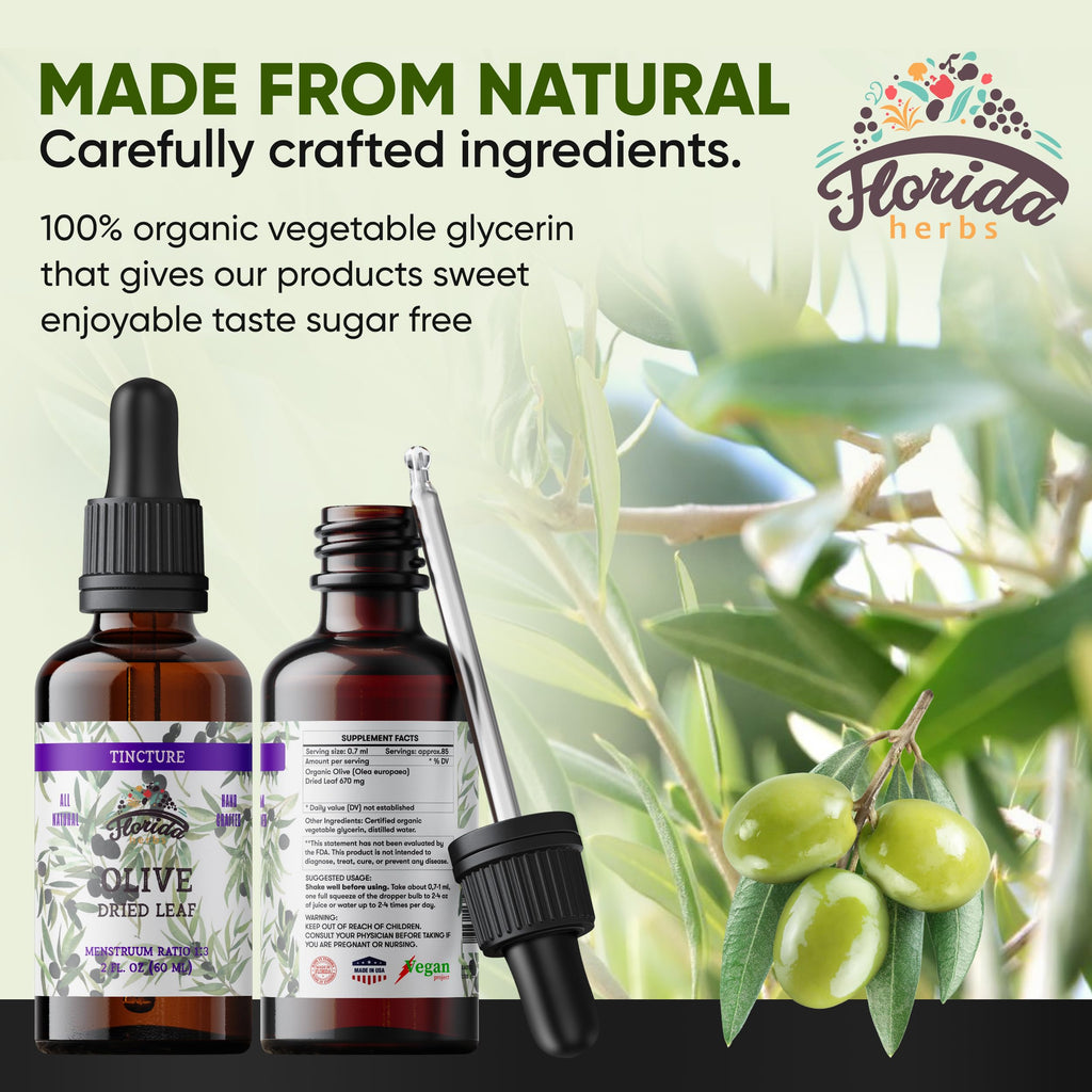 olive leaf benefits for health