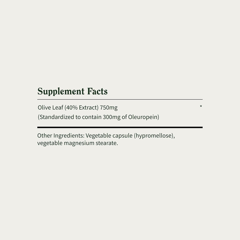 Olive Leaf capsules for antioxidant support