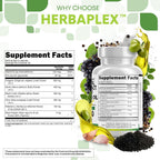 olive leaf extract antioxidant properties