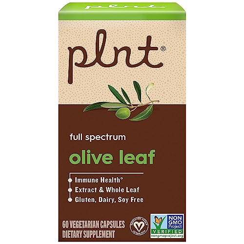 olive leaf extract antioxidant properties