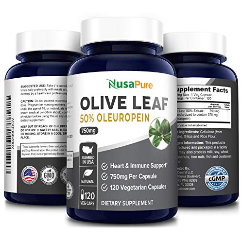 olive leaf extract antioxidant support