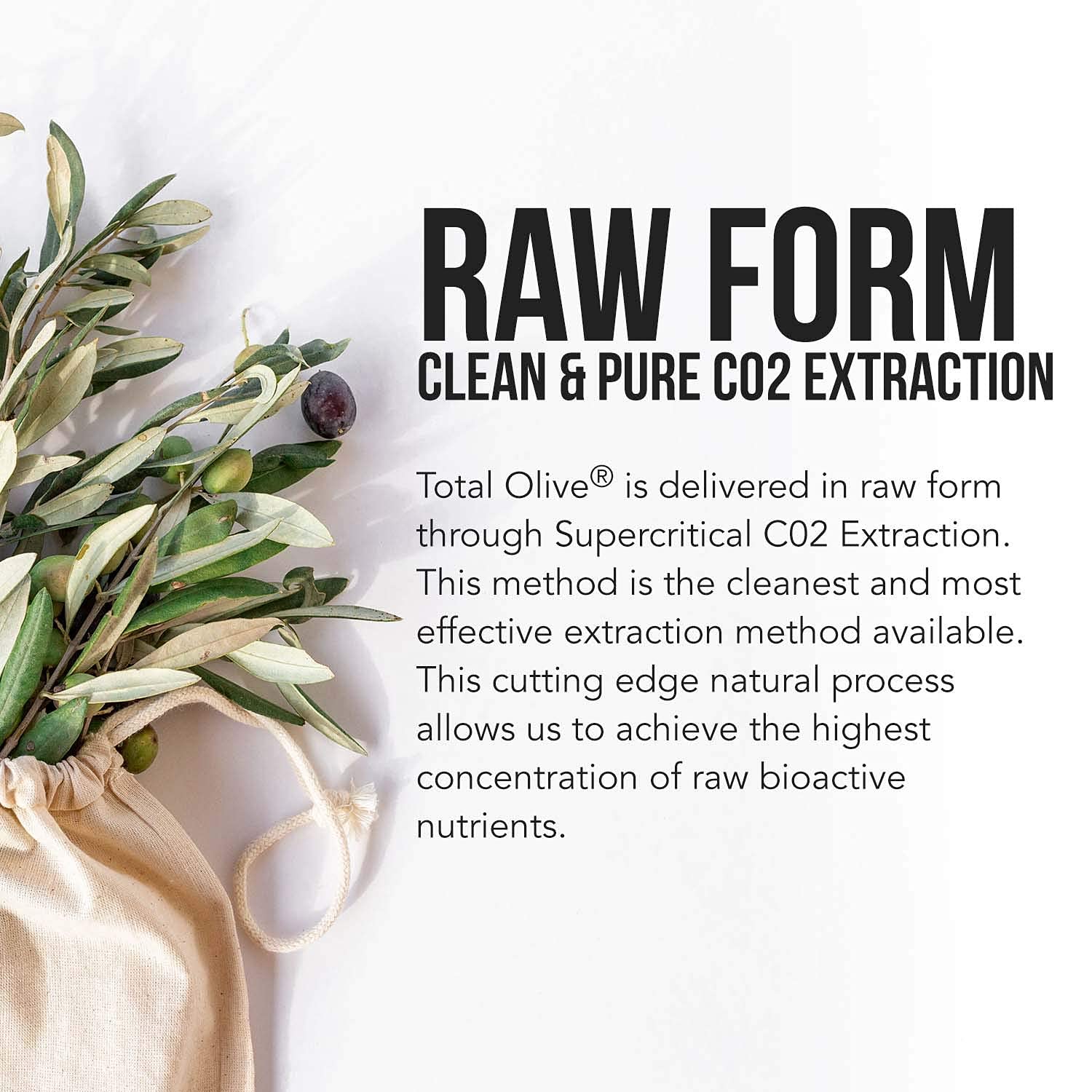olive leaf extract for antioxidant support
