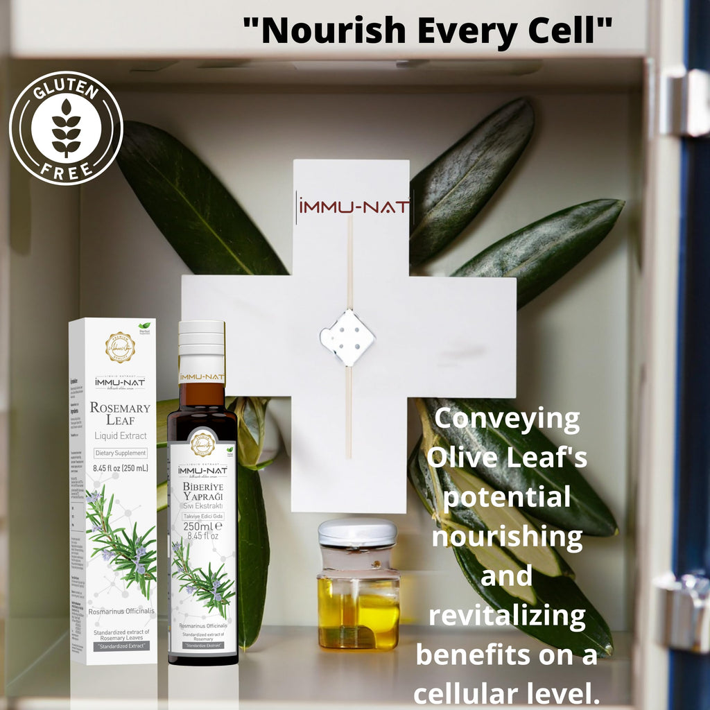 olive leaf extract for daily health