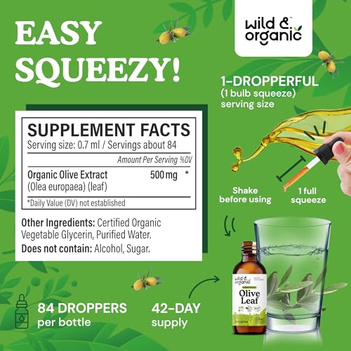 olive leaf extract for daily health
