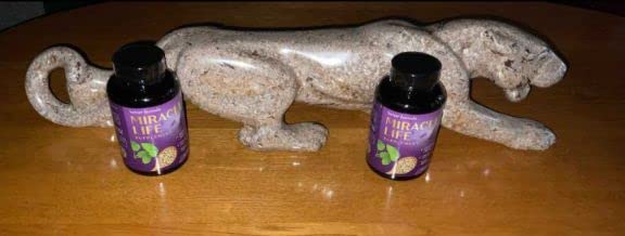 olive leaf extract for daily use