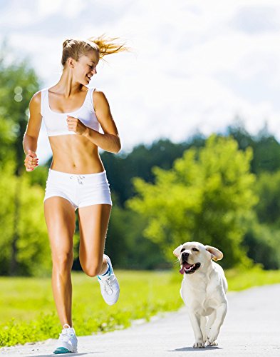 olive leaf extract for daily use