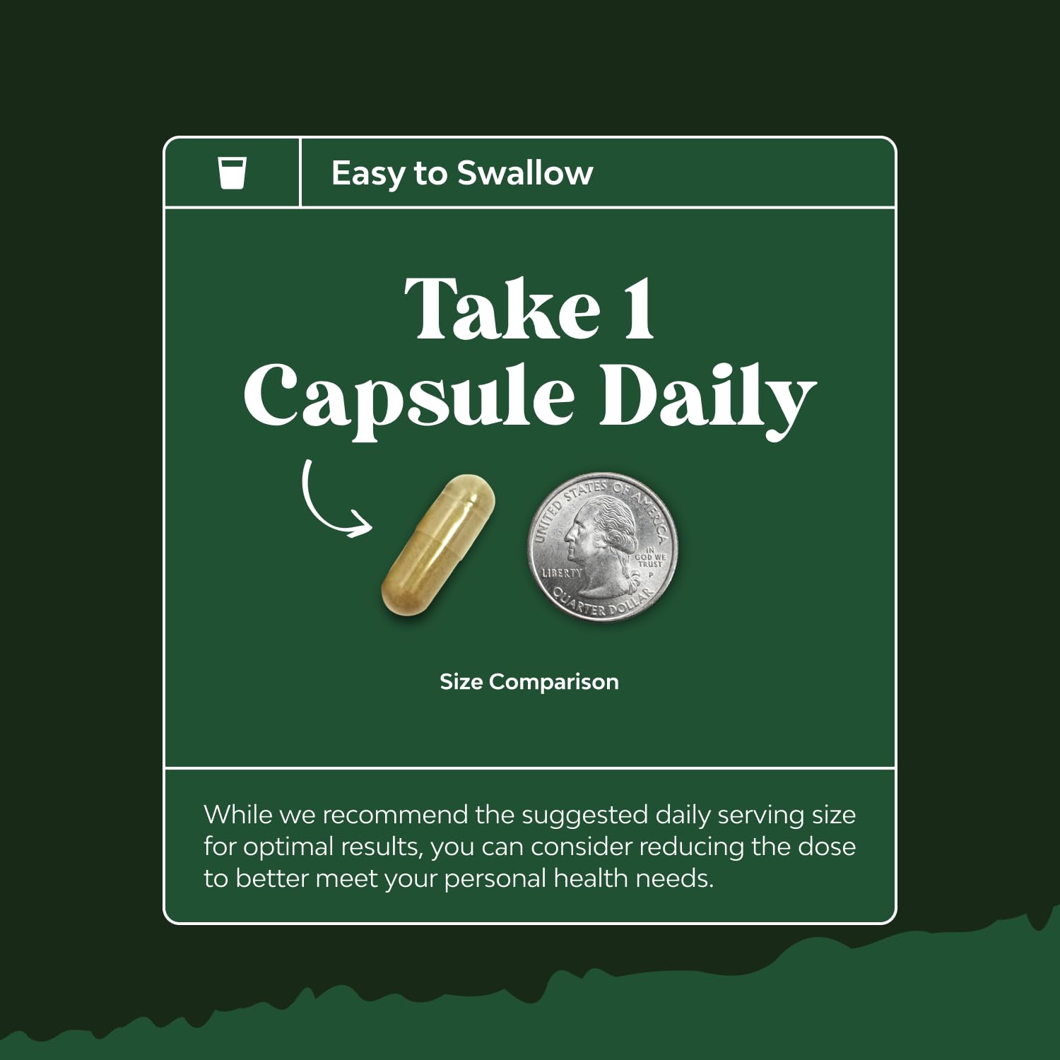 olive leaf extract for daily vitality