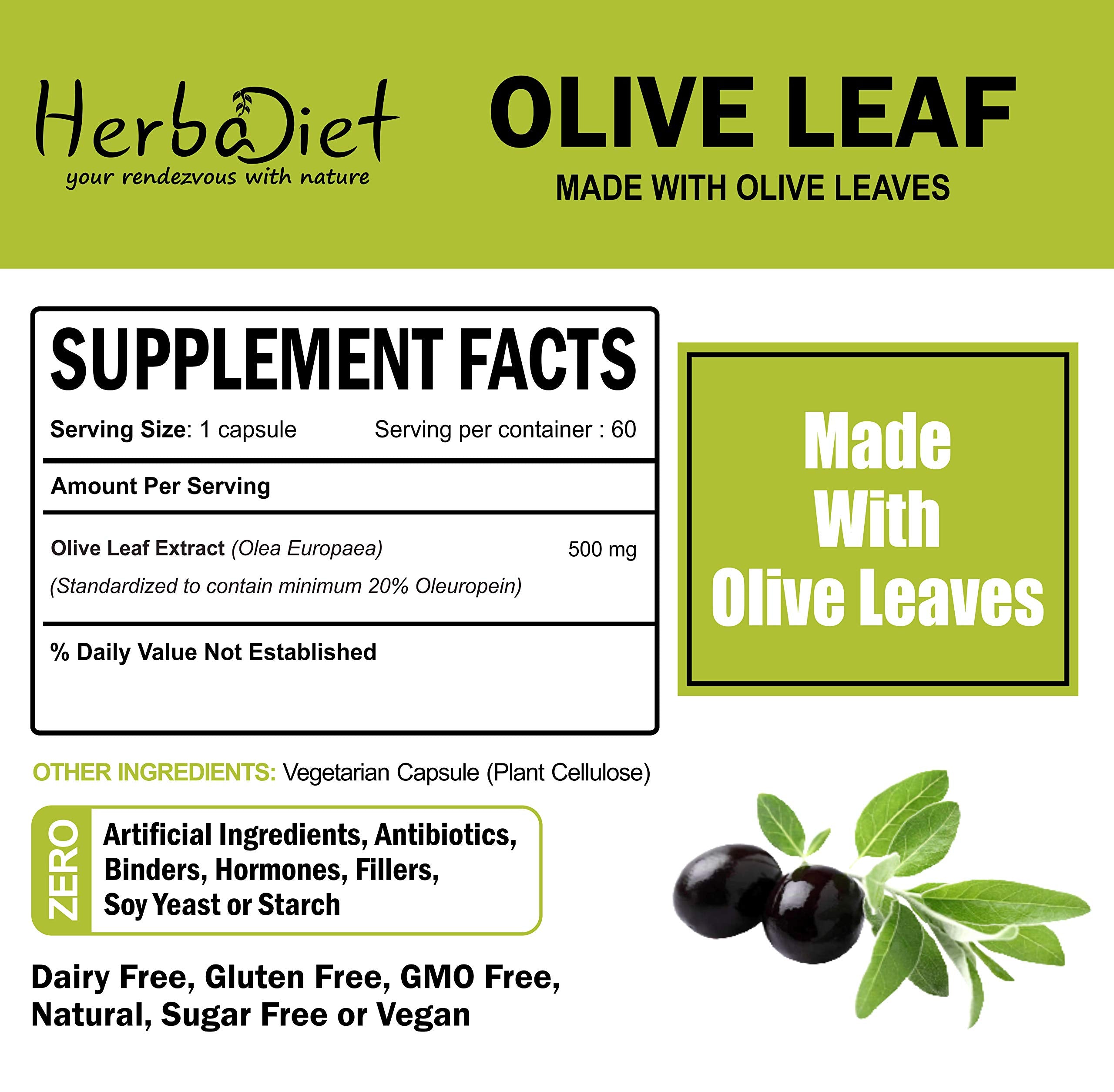 olive leaf extract for daily vitality