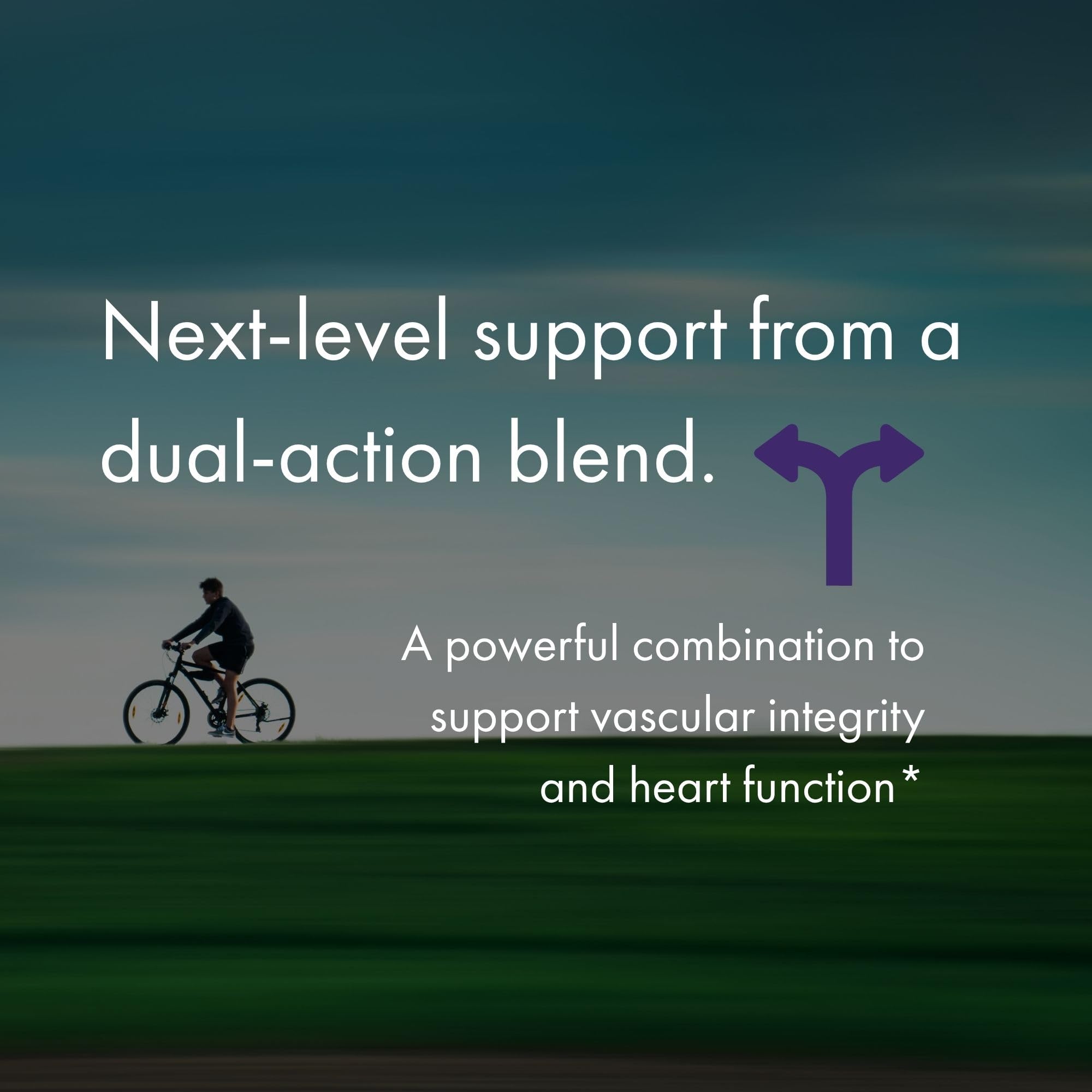 olive leaf extract for daily wellness boost