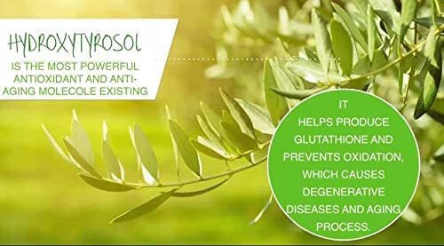 olive leaf extract for daily wellness