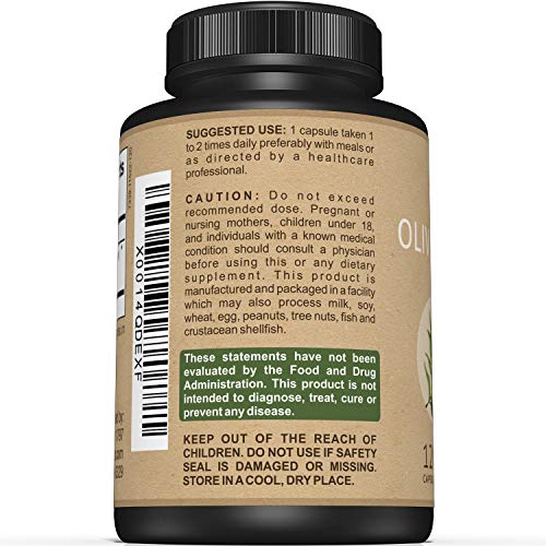 olive leaf extract for daily wellness