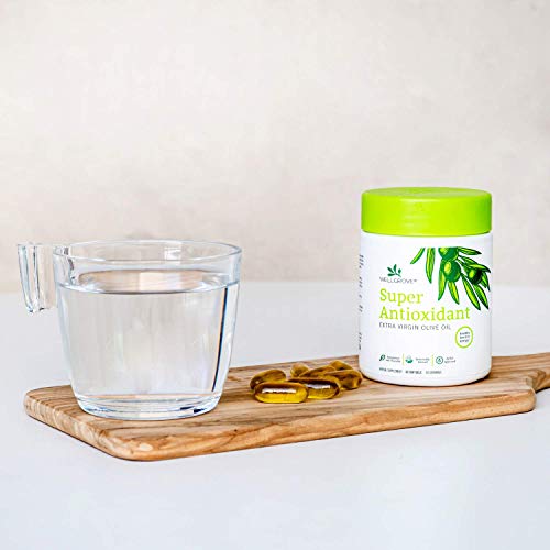 Olive leaf extract for enhanced performance