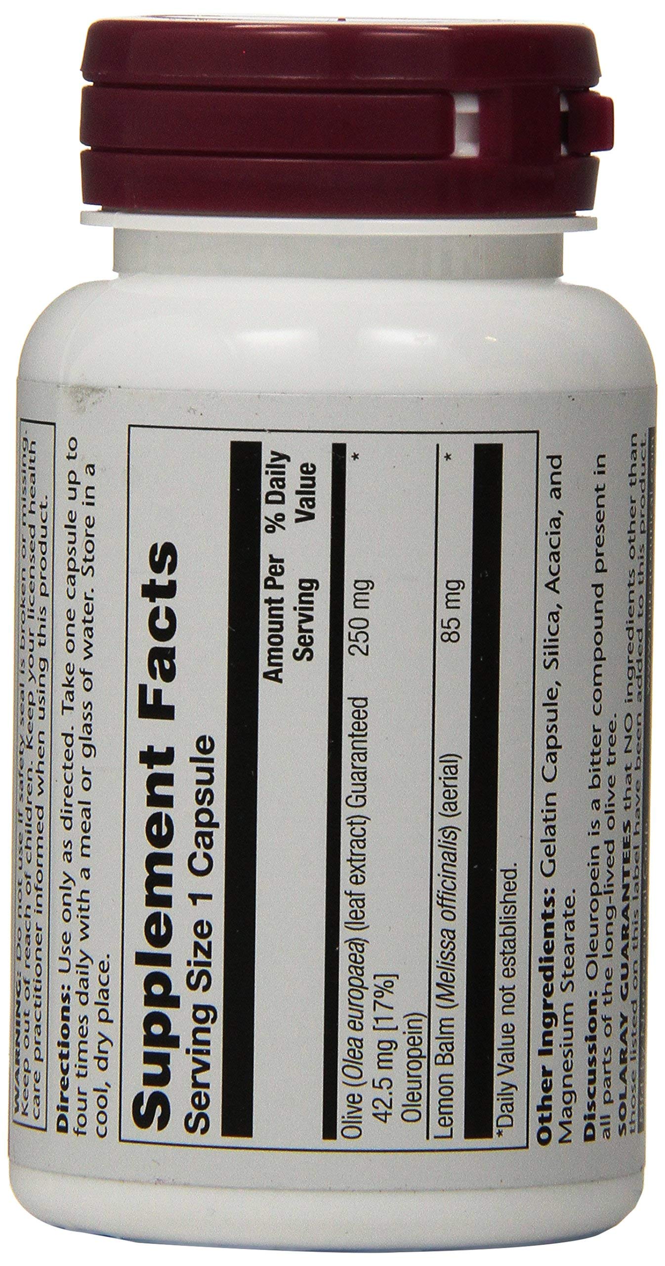 olive leaf extract for everyday vitality