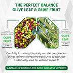 Olive leaf extract for heart health