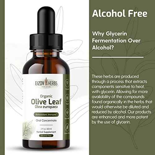olive leaf extract for holistic healing