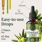 Olive Leaf Extract for immune health