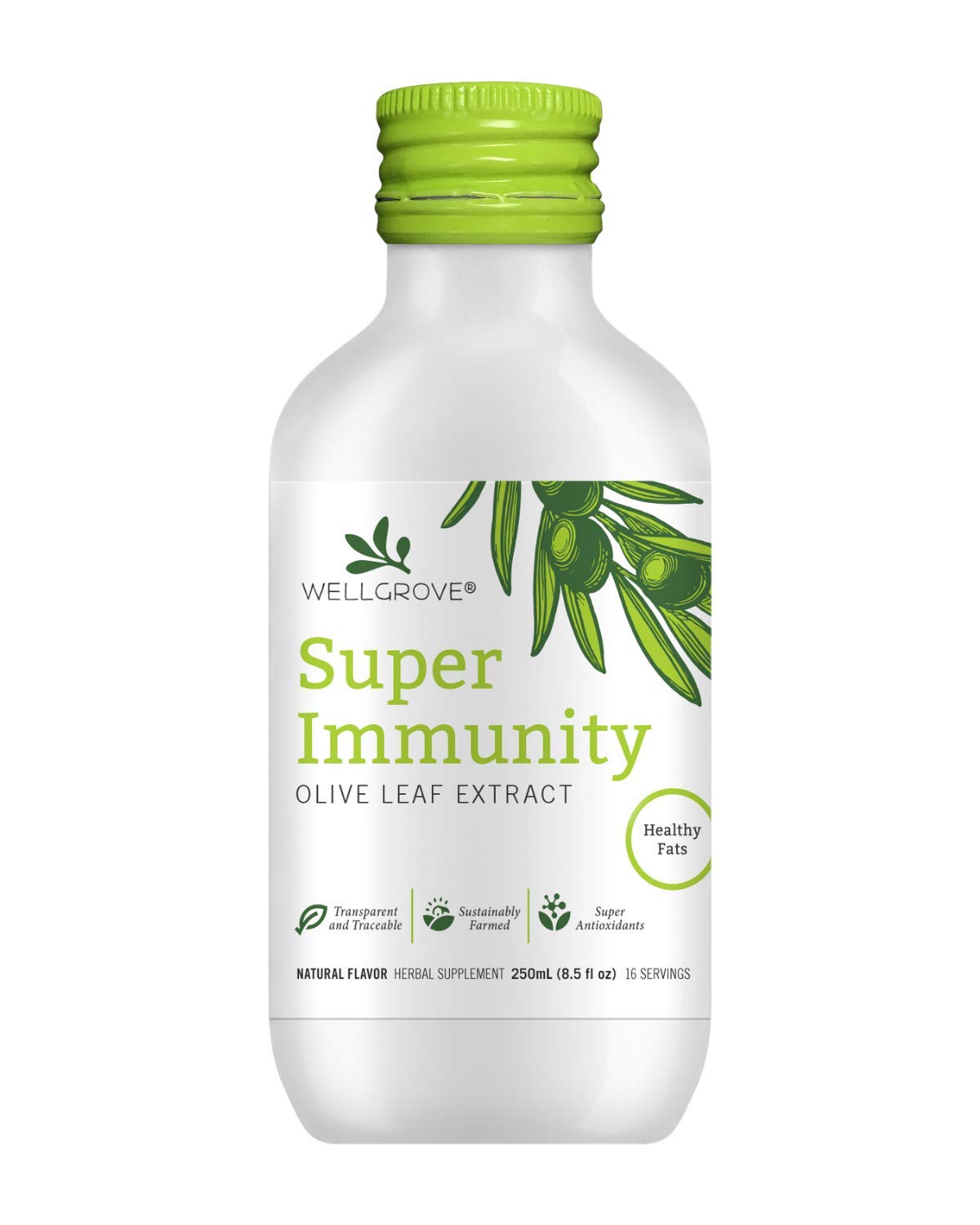 olive leaf extract for immune support