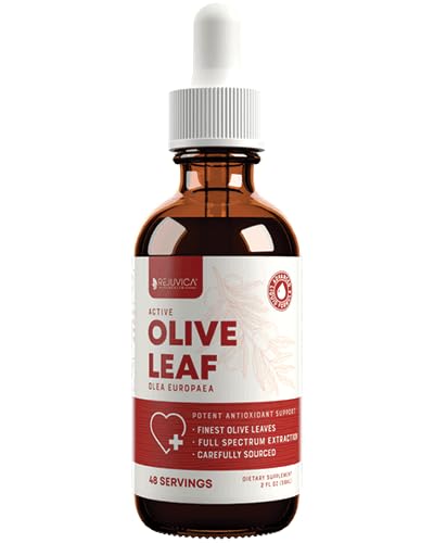 olive leaf extract for immune support